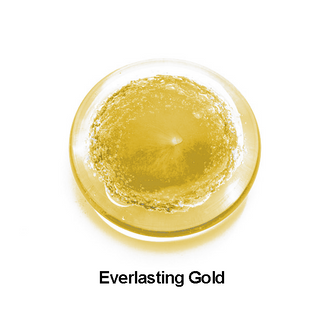 Touchstone – Memory Glass